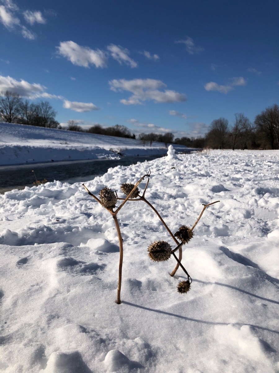 a very january good list – Glimpses of Joy